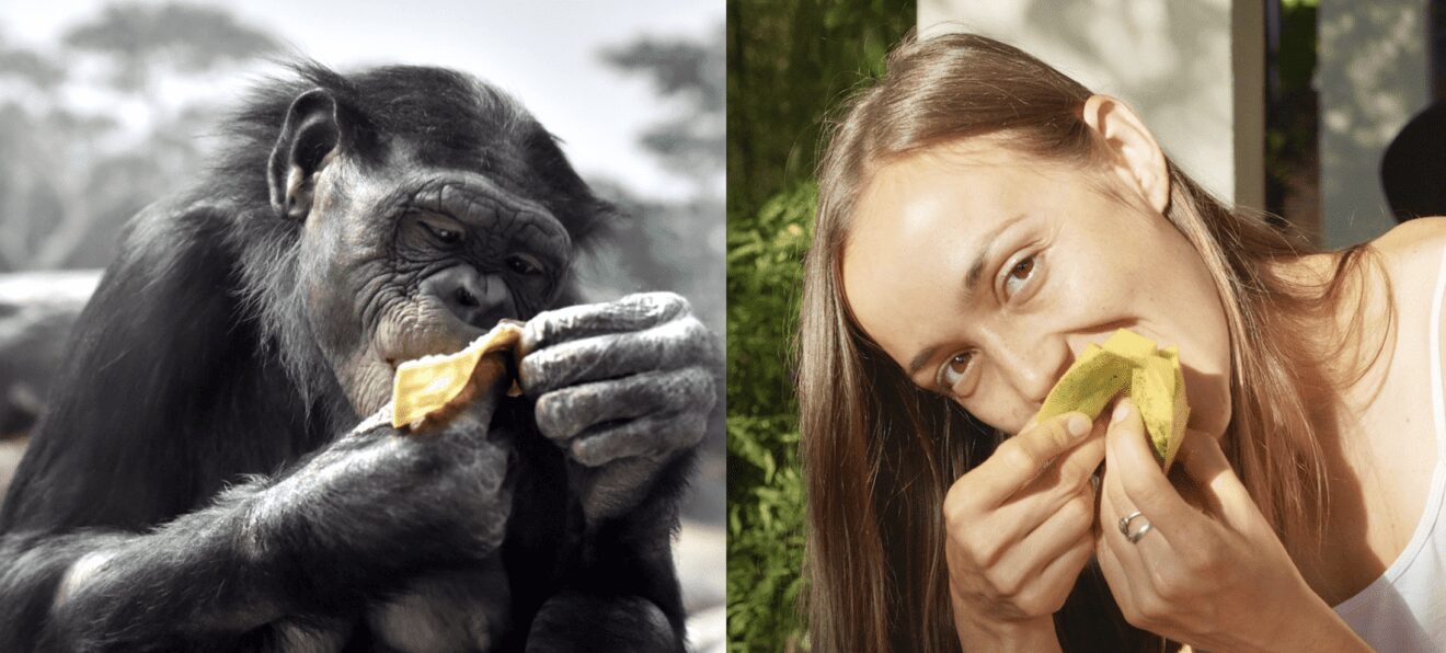 Fruit Evolution: Why Tropical Fruits Are Healthier Than Temperate ...