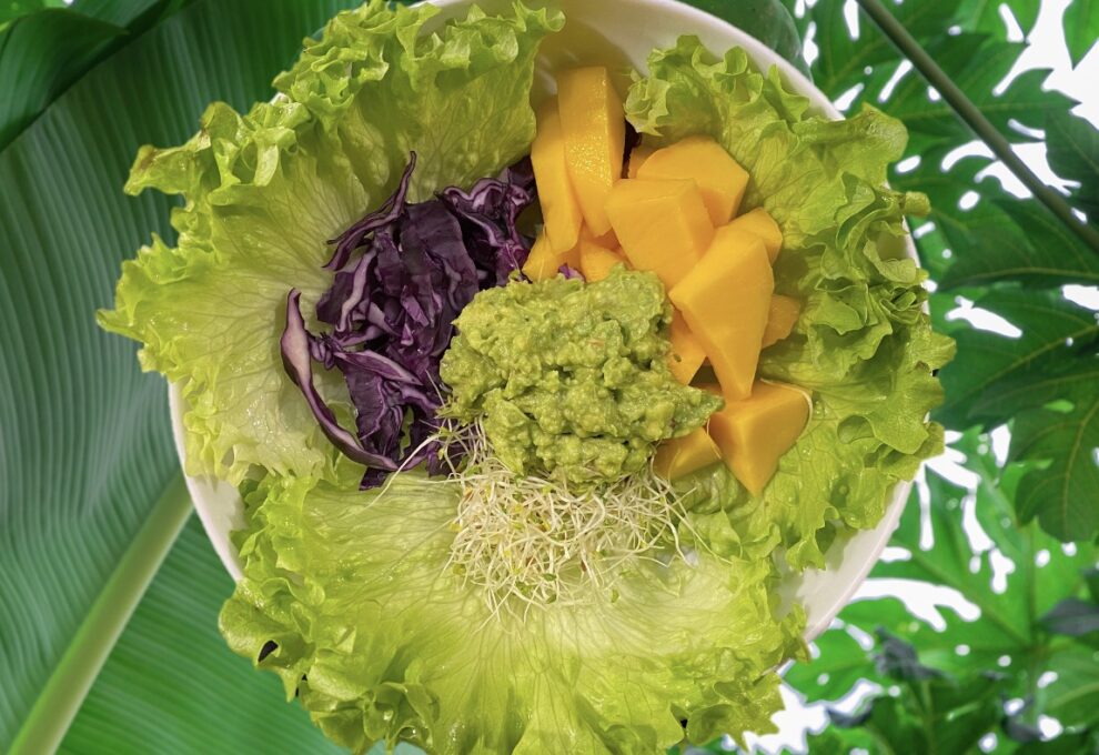 Frugivore Recipe: Guacamole and Mango Bowl | Frugivore Biology